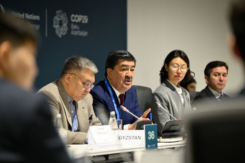 COP29-da dənizə çıxışı olmayan inkişaf etməkdə olan ölkələrin iqlim və ...