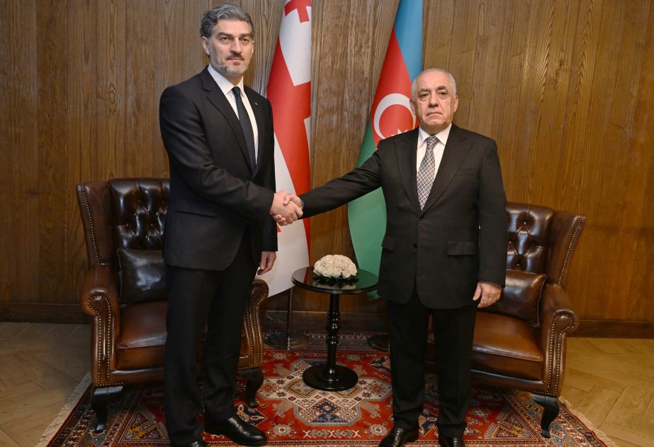 Baş nazir Əli Əsədov Gürcüstan Prezidenti Mixeil Kavelaşvili ilə görüşüb